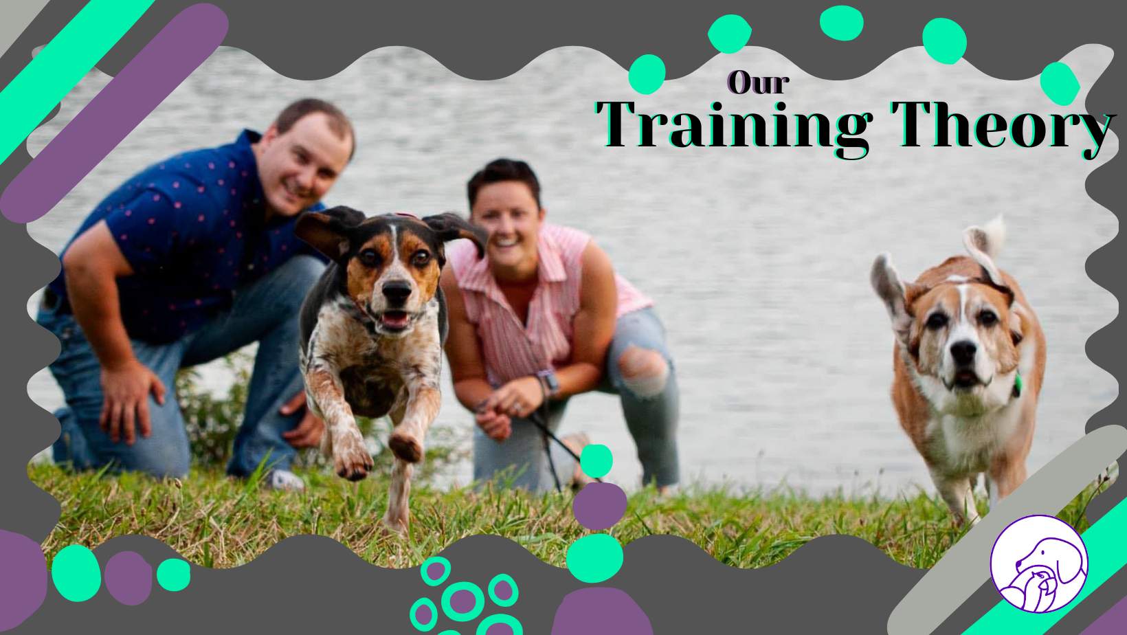 Training Theory – Bark2Beak